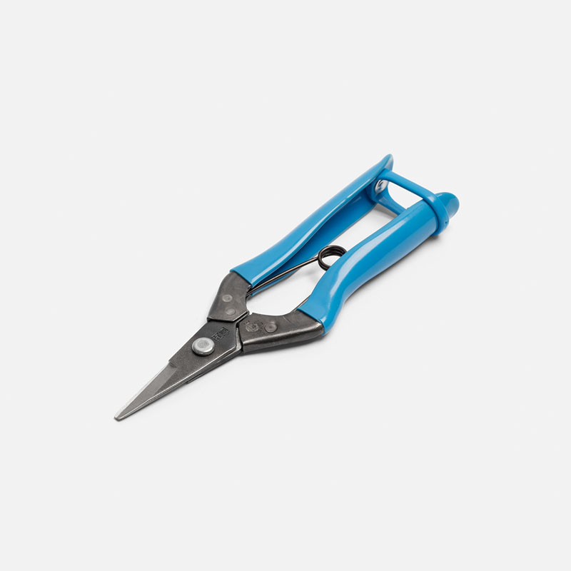 Gardening snippers n. 307 blue | Nanban